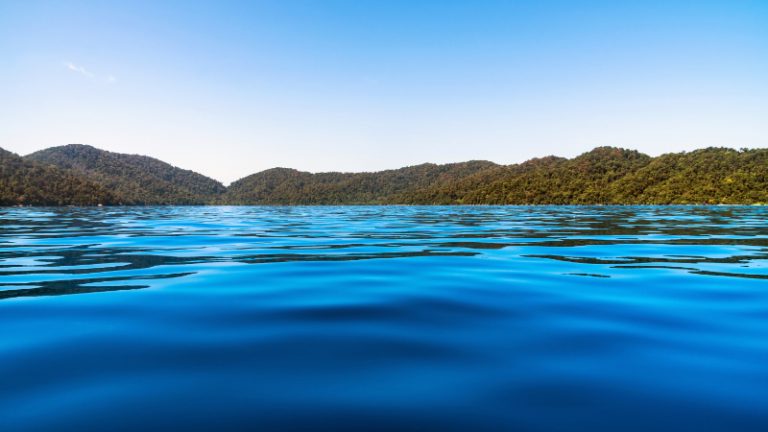 Talasofobia: Qué Es, Síntomas y Cómo Superarla