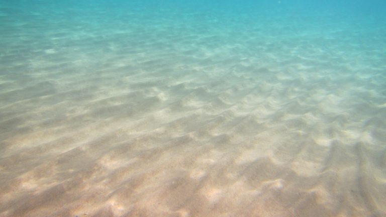 Talasofobia: Qué Es, Síntomas y Cómo Superarla